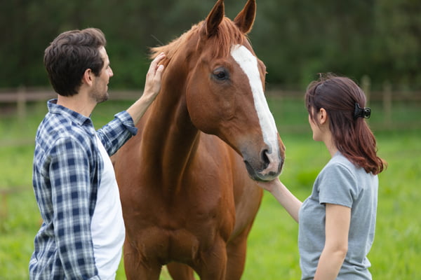 Equine Veterinarian in Hawkinsville, Georgia | Equine Associates